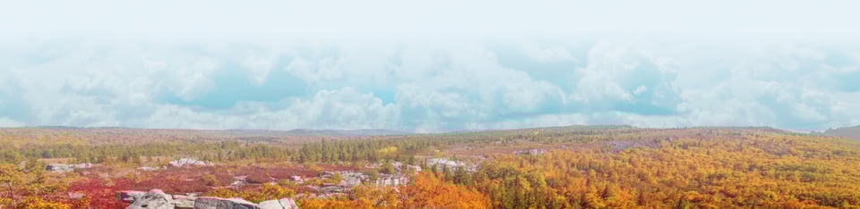 Virginia Insurance Claims | Northern Neck Insurance