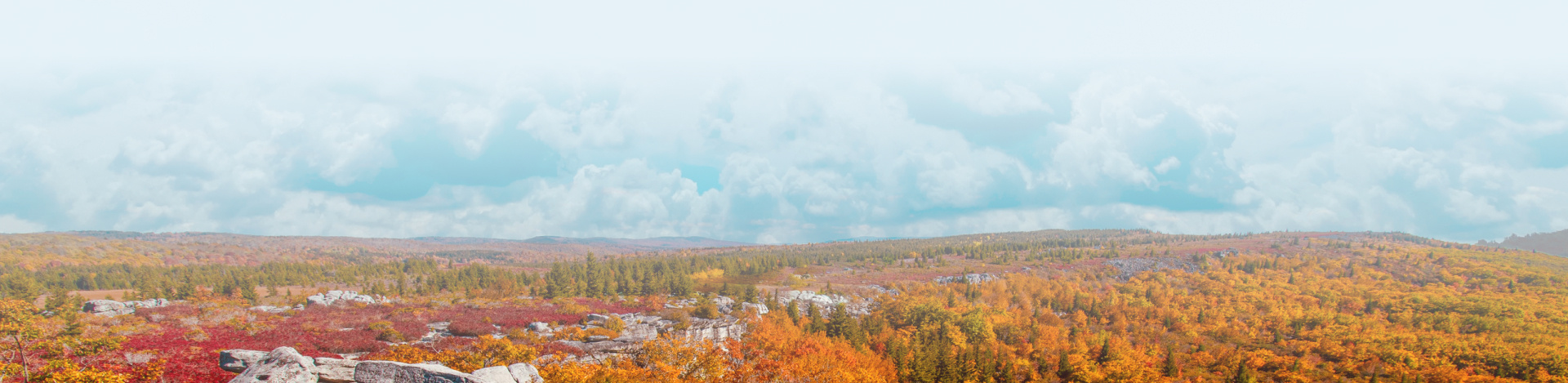 Virginia Insurance Claims | Northern Neck Insurance