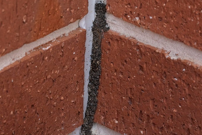 How to Check for Termite Damage in Your Home